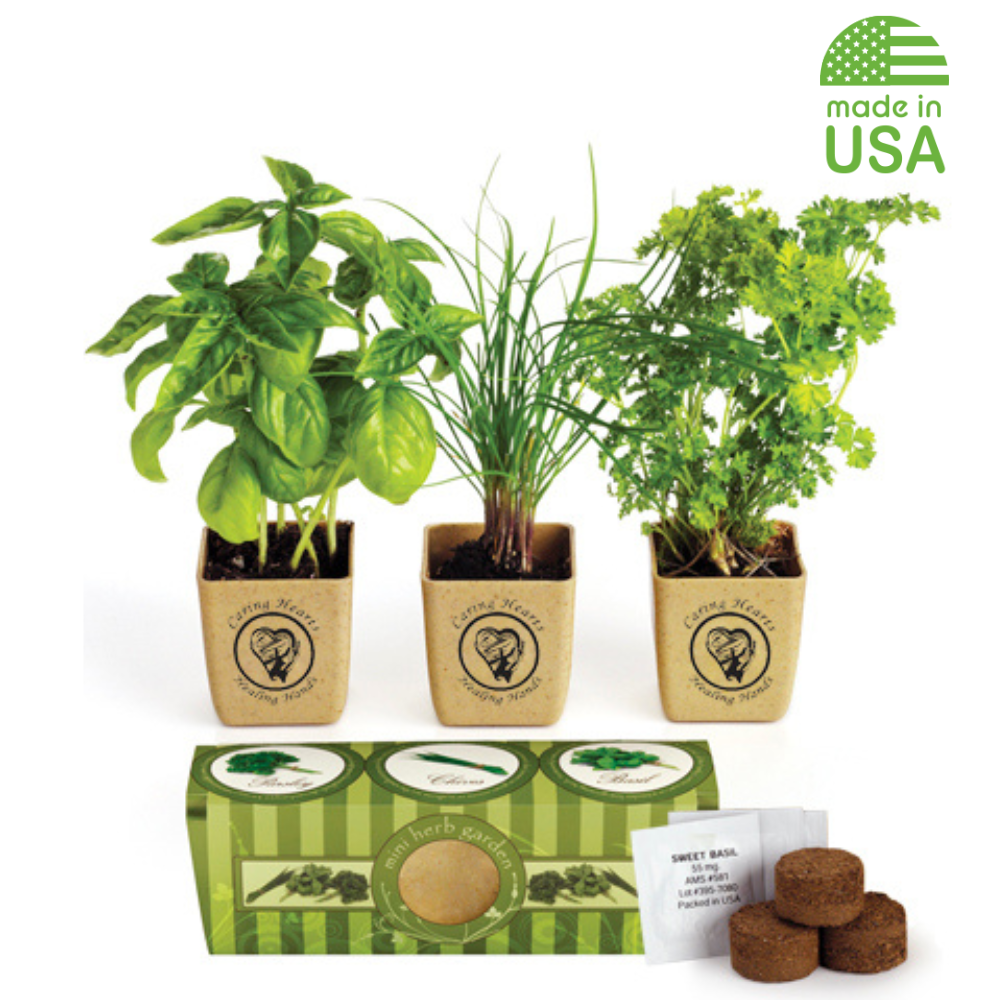Custom Mini Herb Garden | Biodegradable | USA Made | Eco Promotional Products